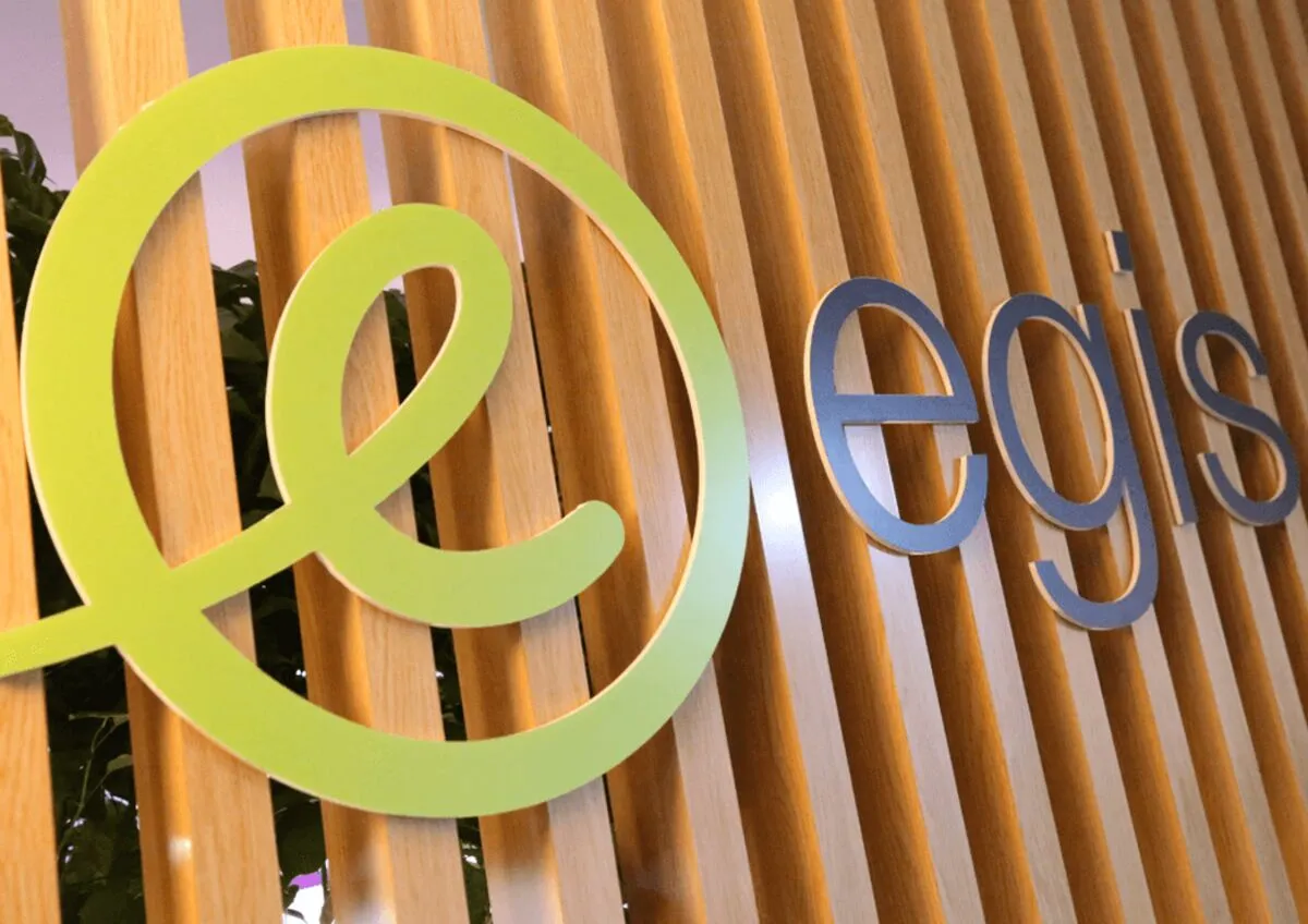 Coopération : Le groupe Français Egis quitte le Cameroun | Cameroun Eco